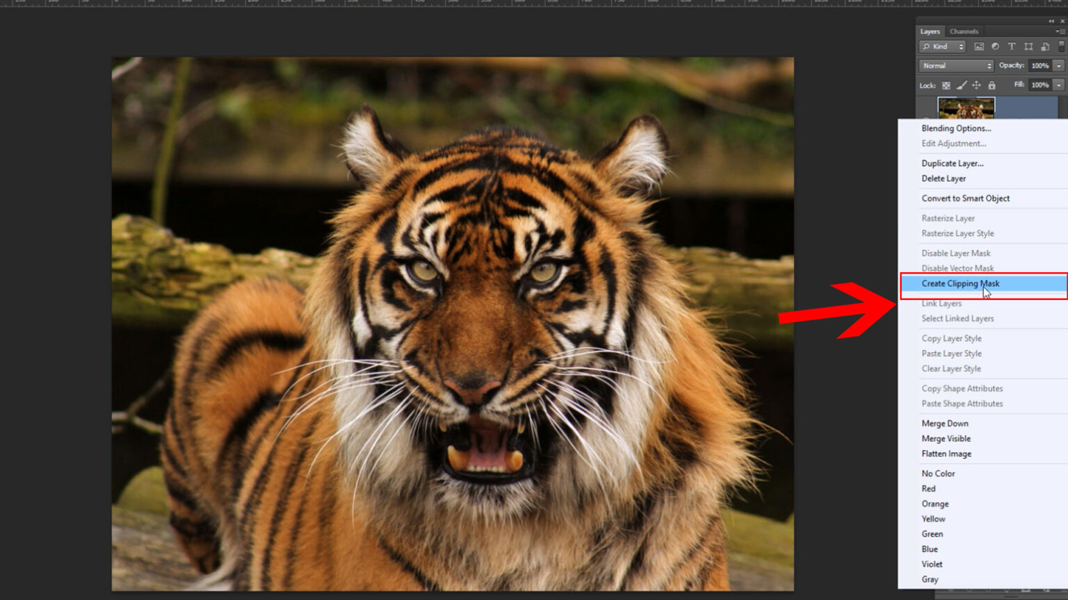 Easy Rules of Clipping Mask in Photoshop