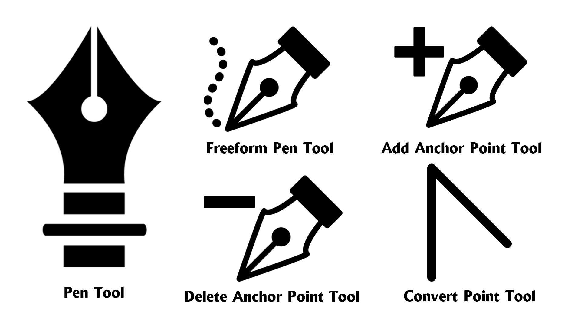 Basic Photoshop Tools for Beginner