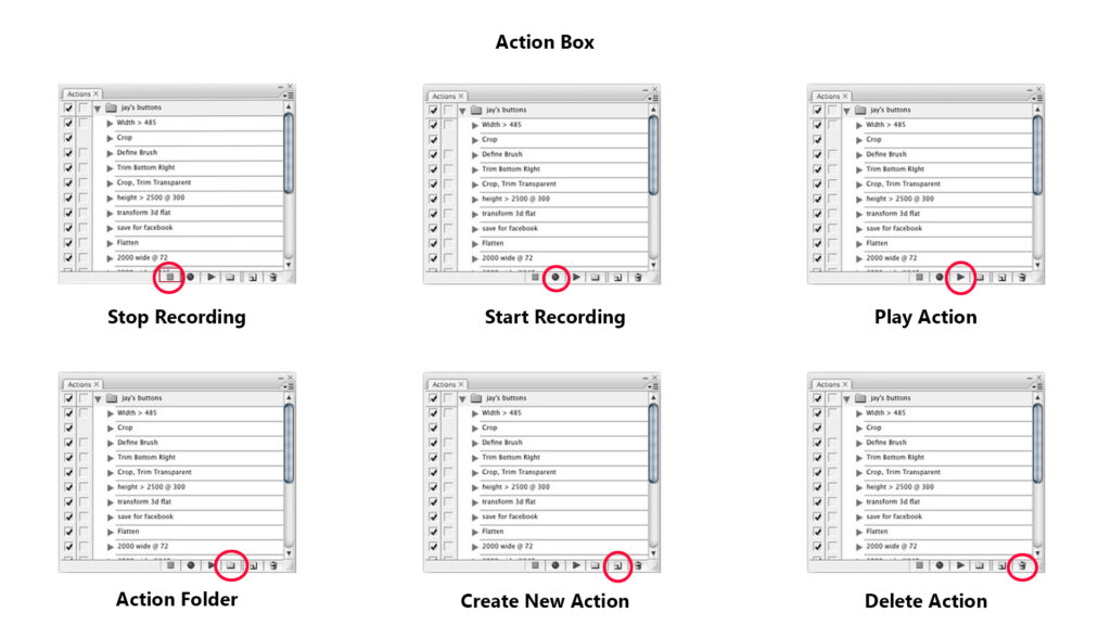 How to Create an Action in Adobe Photoshop