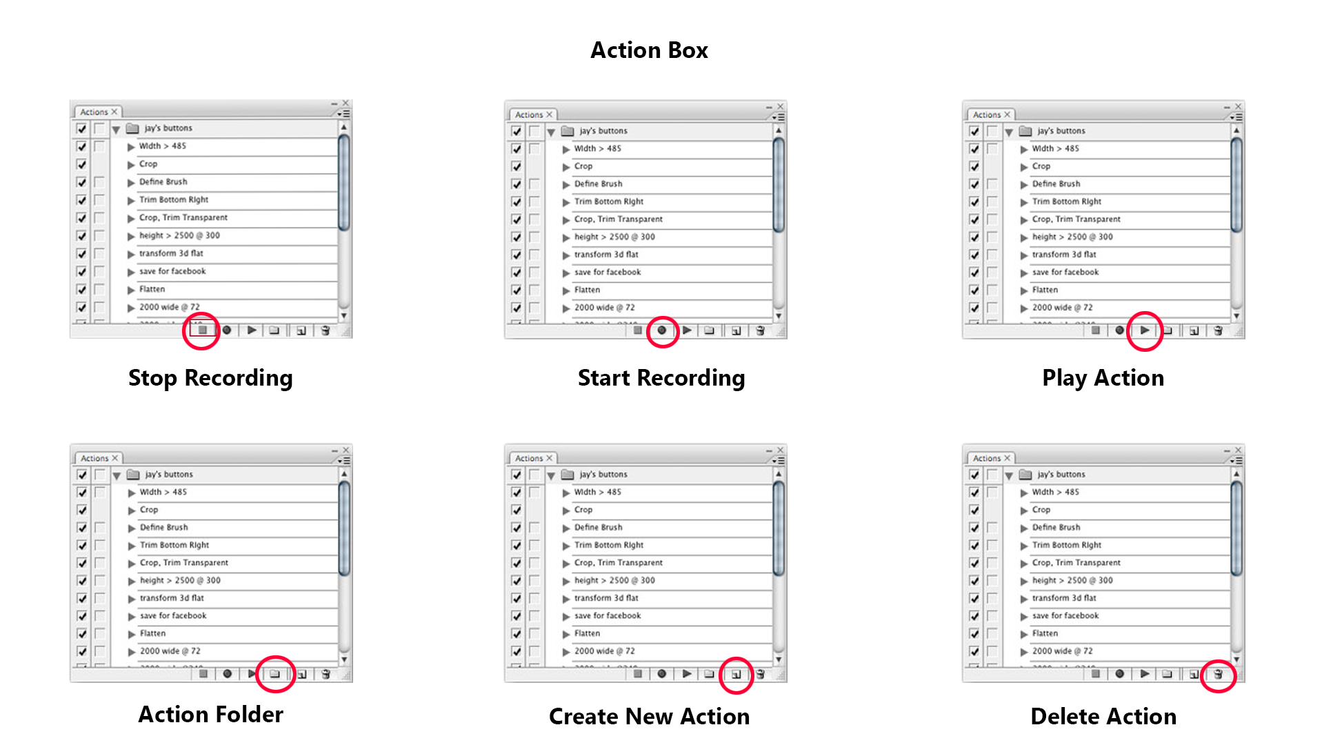 How to Create an Action in Adobe Photoshop